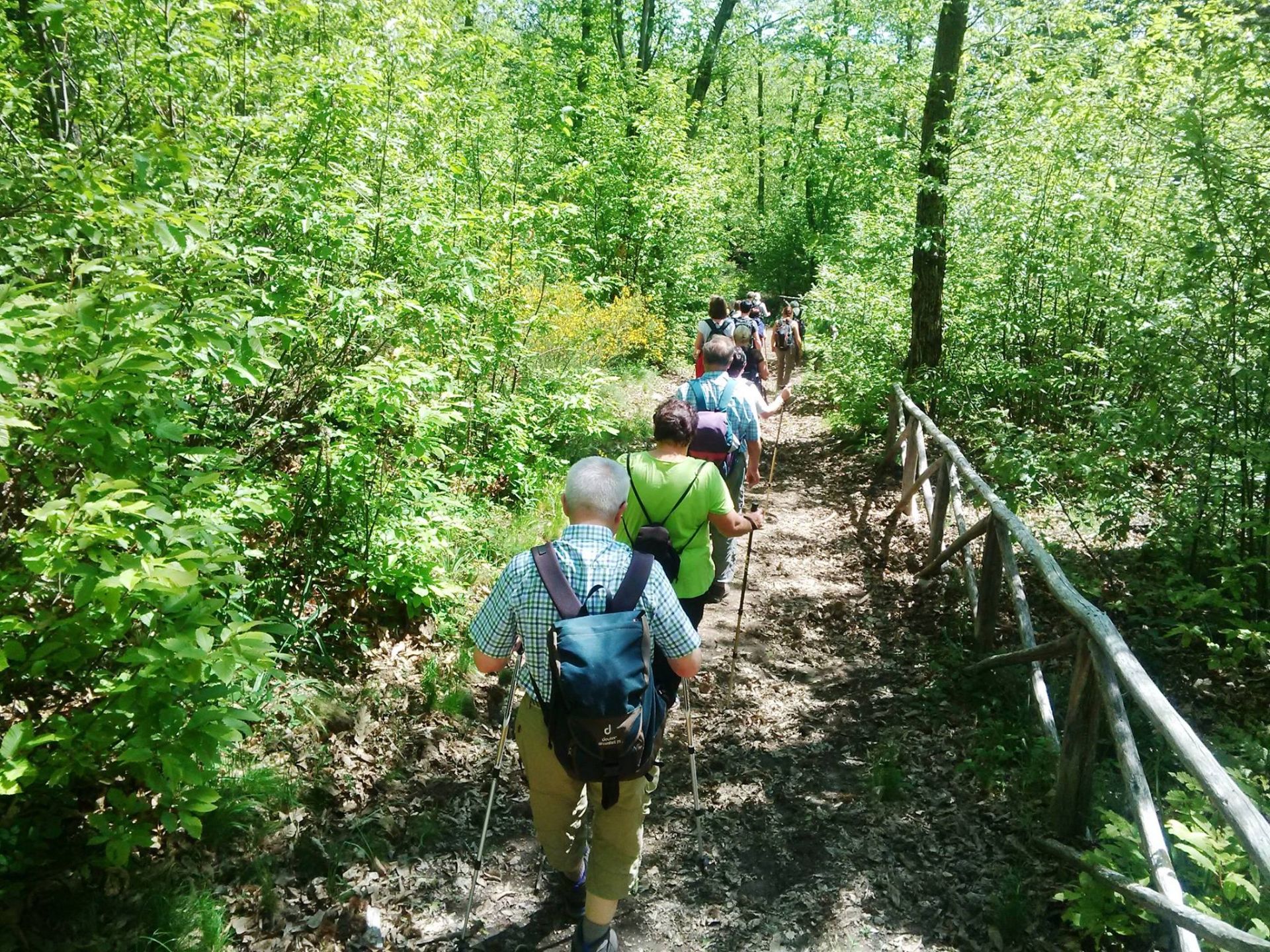 Trekking Mount Amiata | Starting from €0 | Freedome