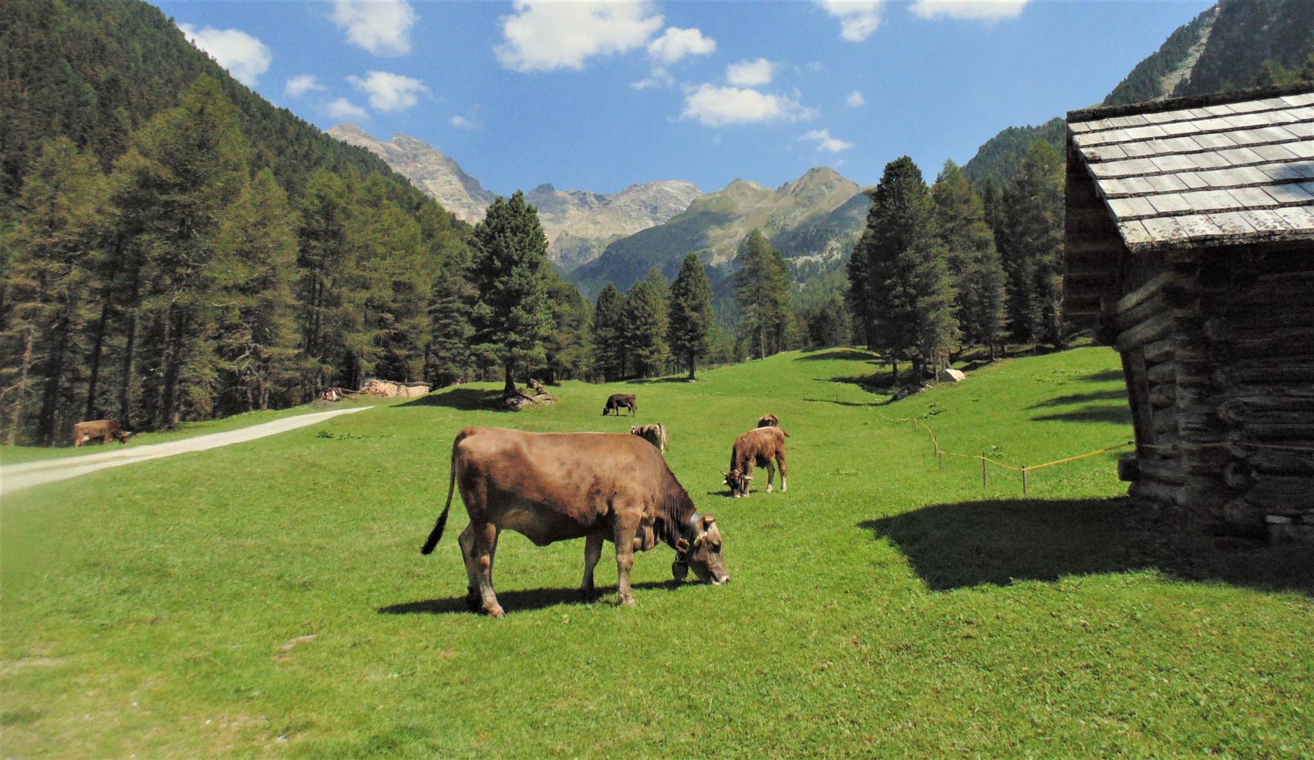 Trekking Pila | Book or gift online | Freedome