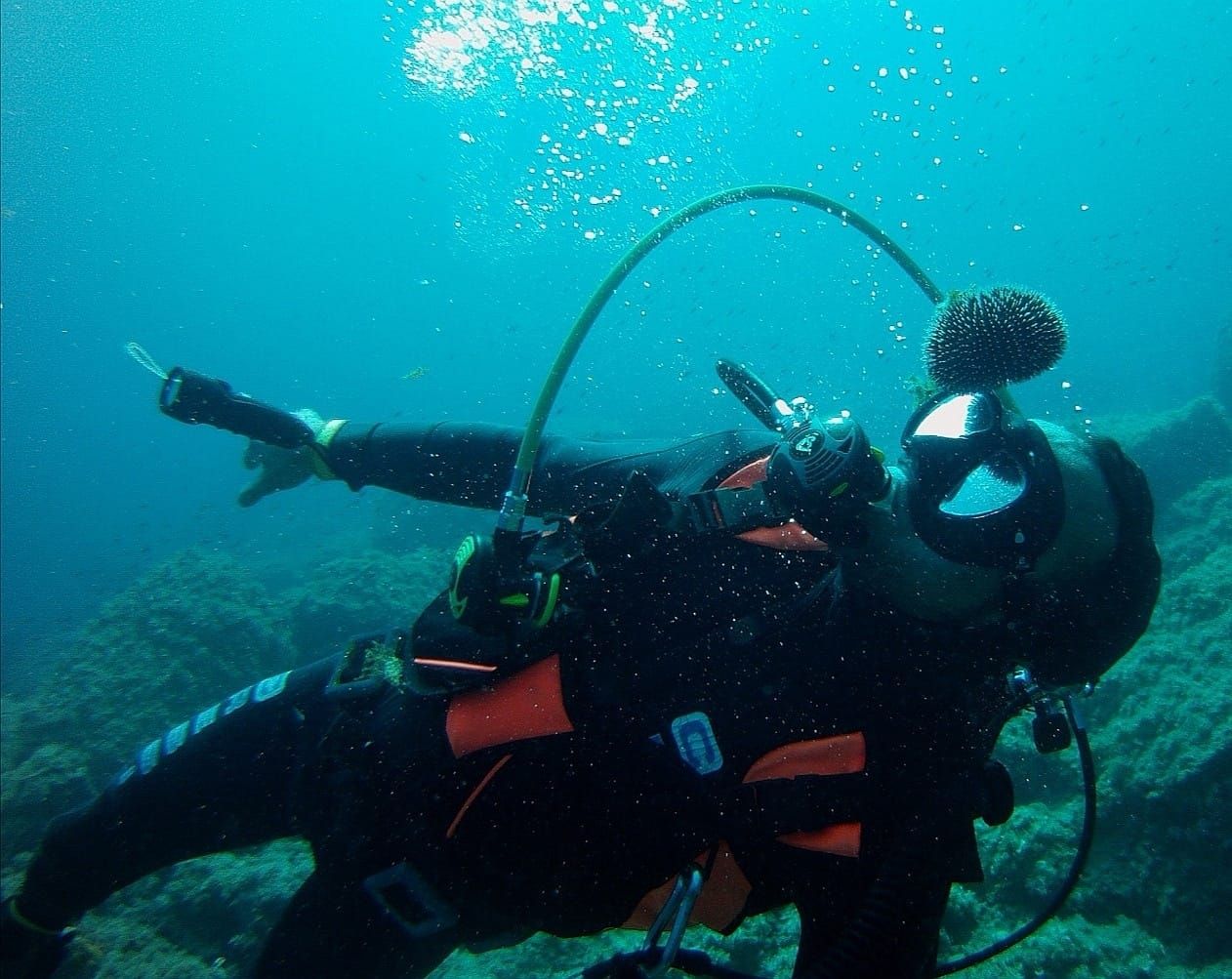 Scuba Diving Basilicata | 3 diving starting from €50 | Freedome