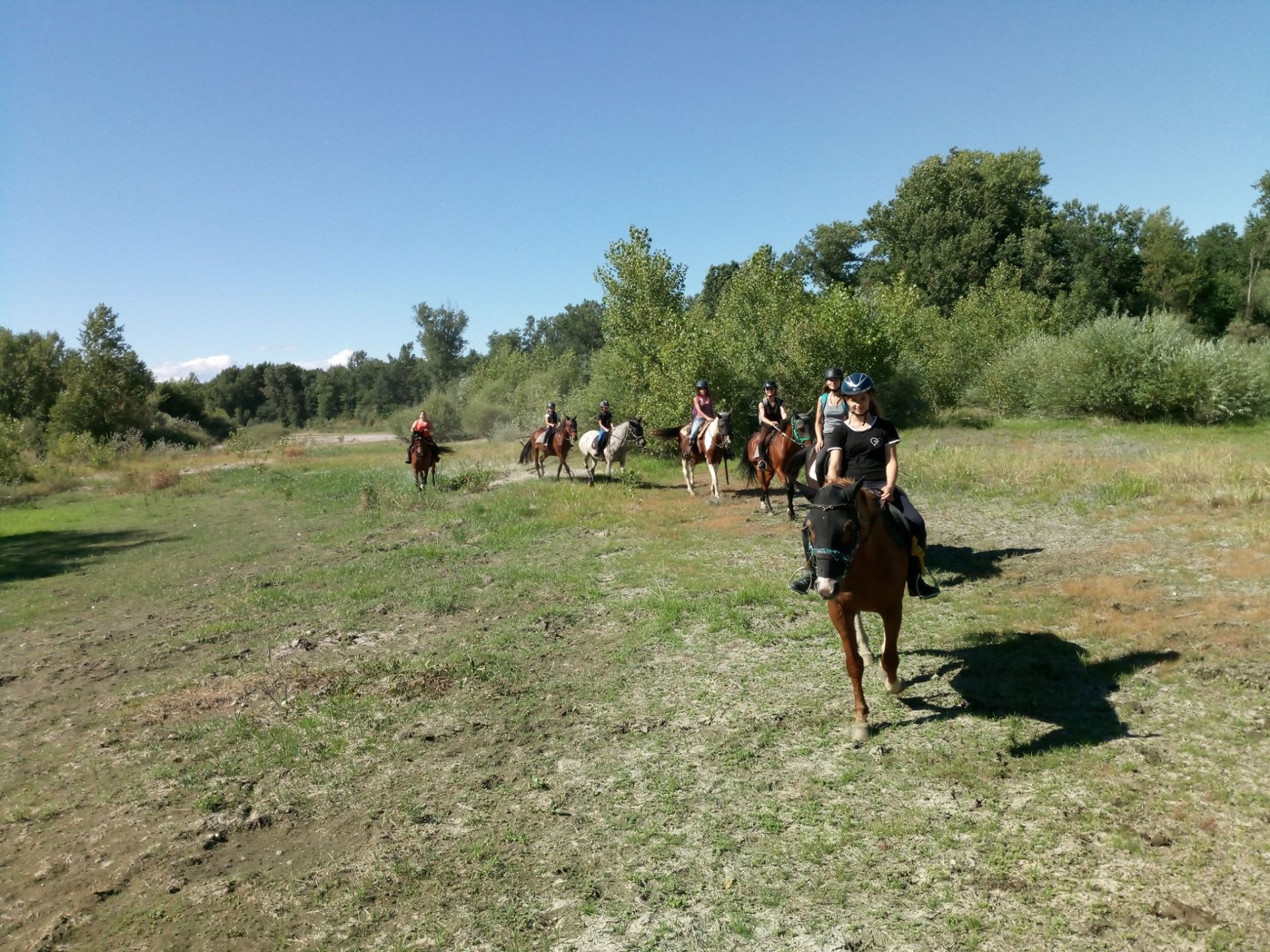 Passeggiate a cavallo Milano: escursioni e prezzi | Freedome