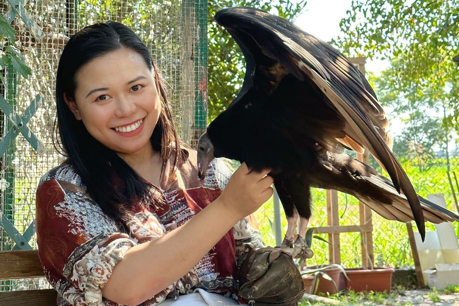 Falconry Experience Vicenza | Starting from €140 | Freedome