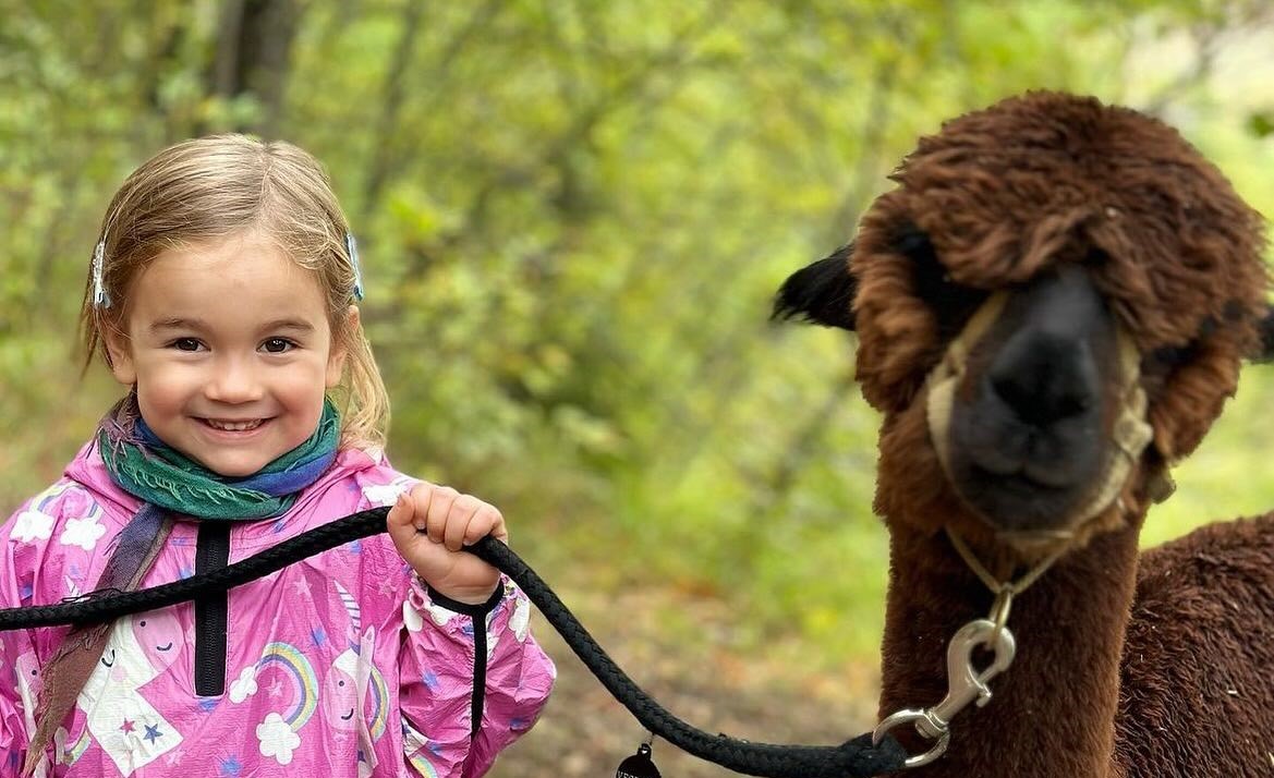 Walks with alpacas Carpineti | Starting from €20 | Freedome