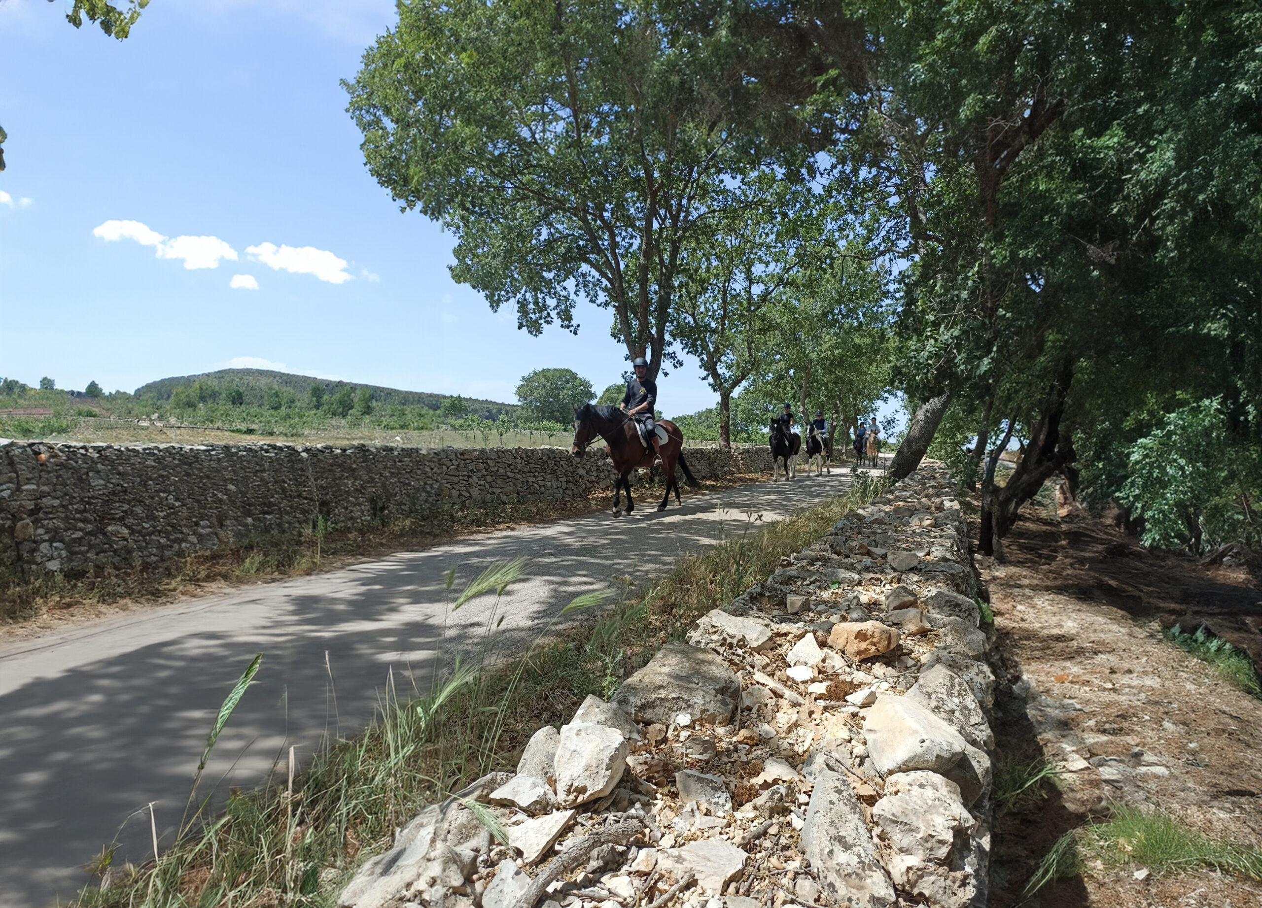 Horse Riding Murge | 3 excursions starting from €30 | Freedome