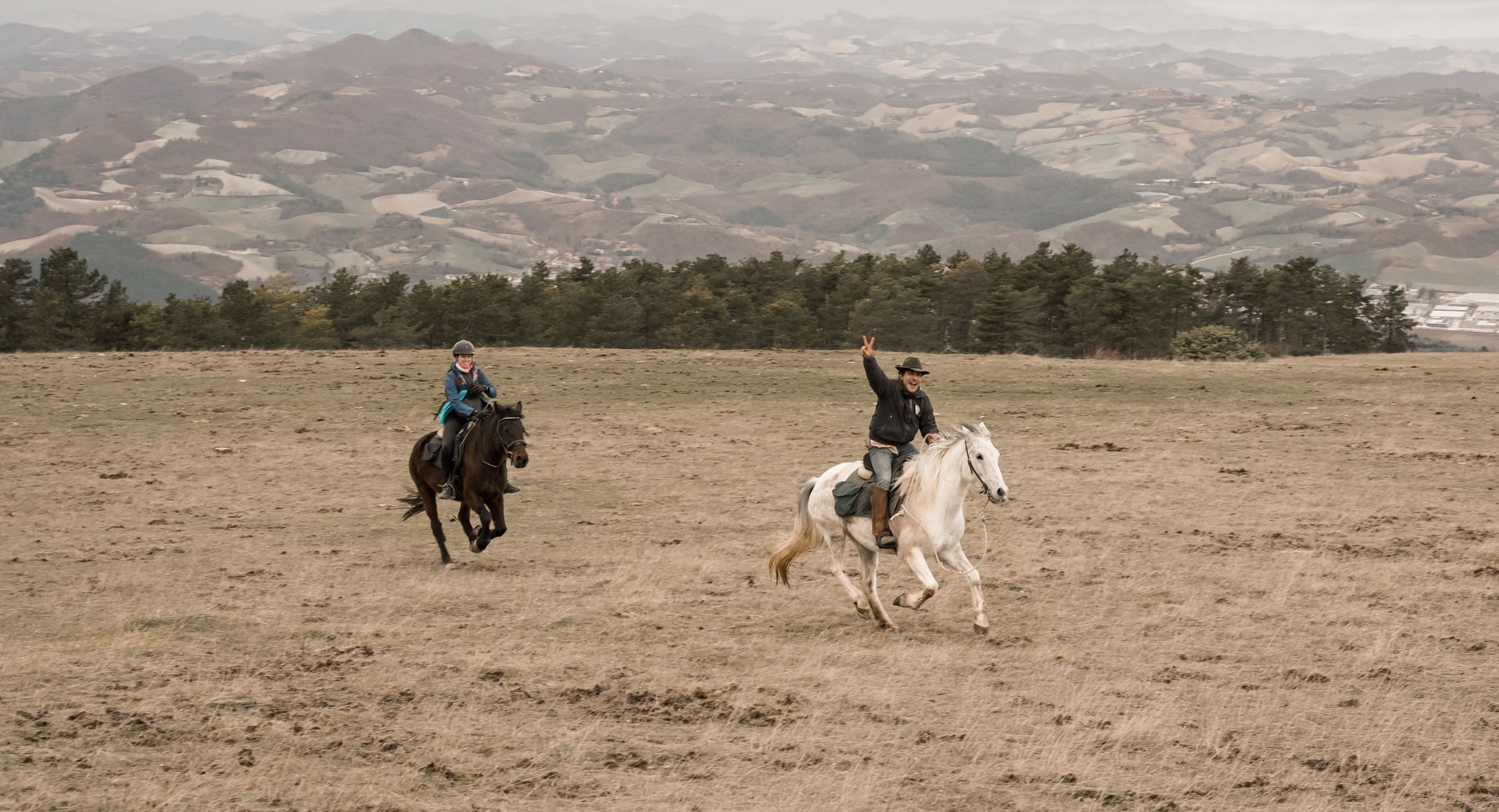 Passeggiate a cavallo Urbino | A partire da €40 | Freedome