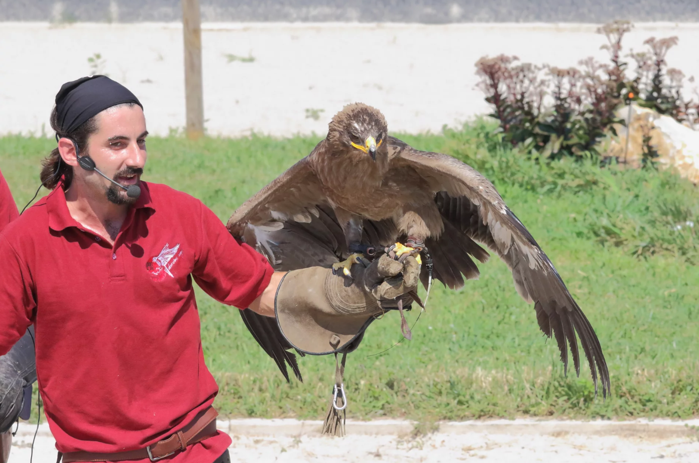 Esperienze con animali Friuli Venezia Giulia | A partire da €30 | Freedome