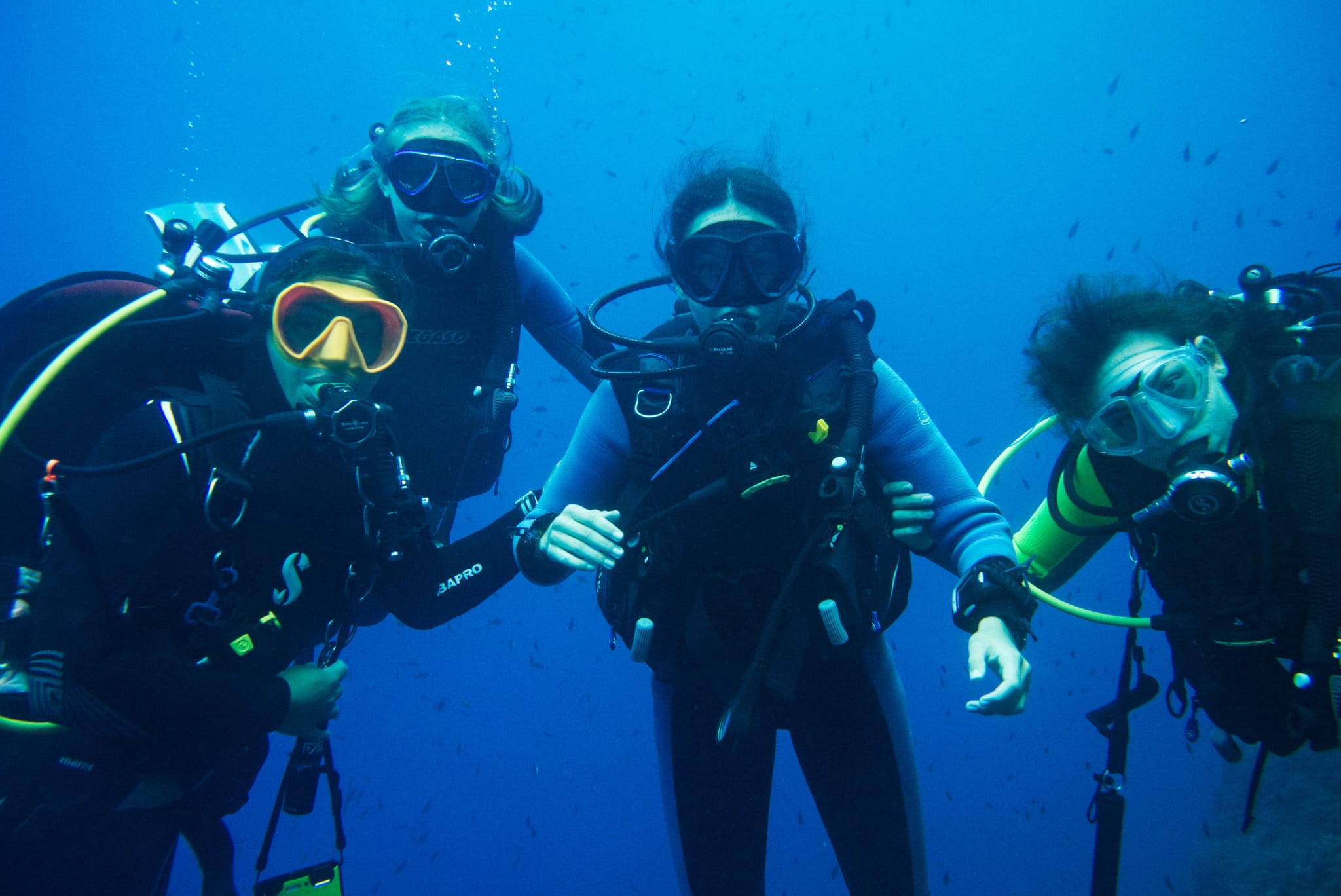 Immersioni subacquee Sorrento | A partire da €120 | Freedome