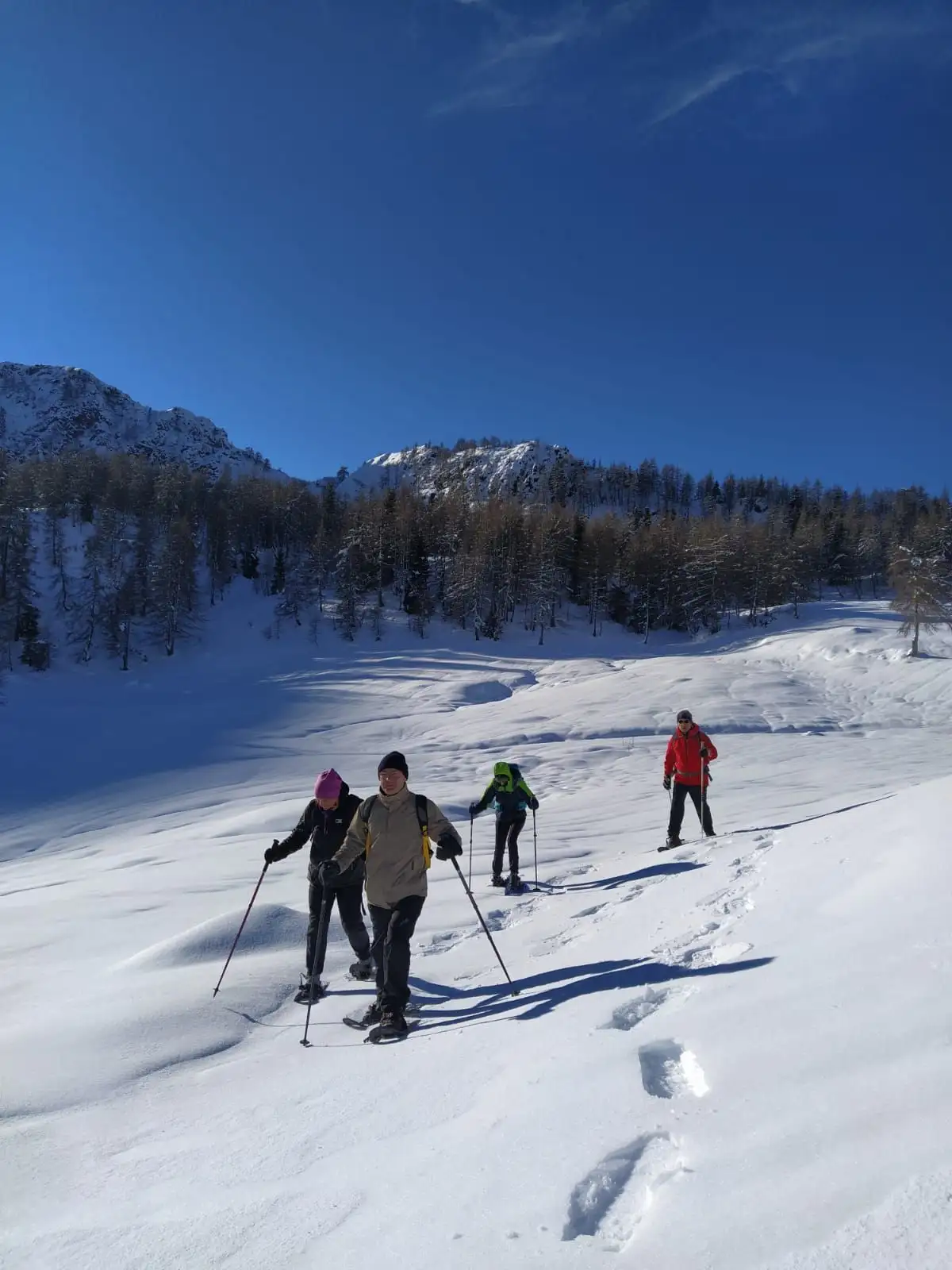 Snowshoeing Schilpario | Starting from €30 | Freedome